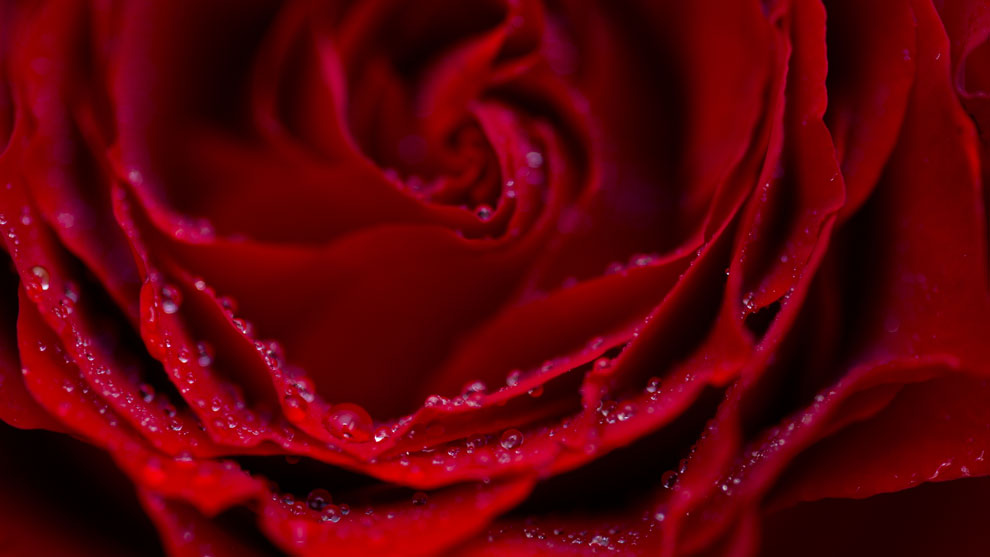 Application notes & examples - DataPhysics Instruments