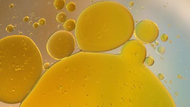 Stability of Dispersions Explained - DataPhysics Instruments