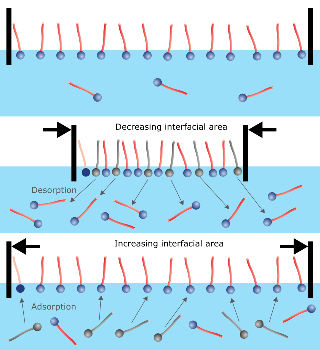 Interfacial rheology - DataPhysics Instruments