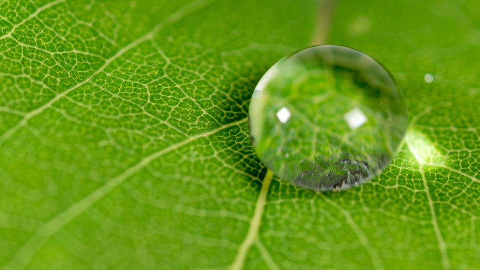 Angle de contact expliqué - DataPhysics Instruments