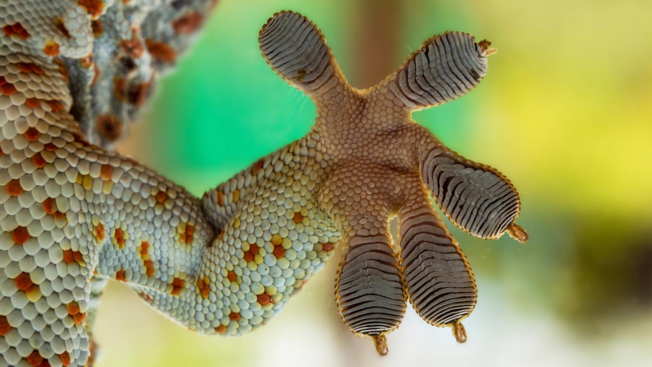 Dispersion and polar components of the interfacial energy explained - DataPhysics Instruments