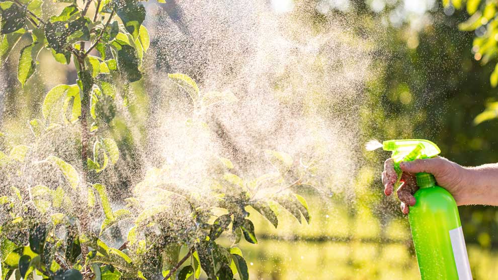 Dynamic Surface Tension - DataPhysics Instruments